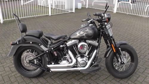 2010 Harley-Davidson Flstsb Cross Bones 11